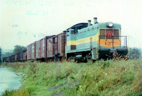 Northern Division Roots by Doug Ellison